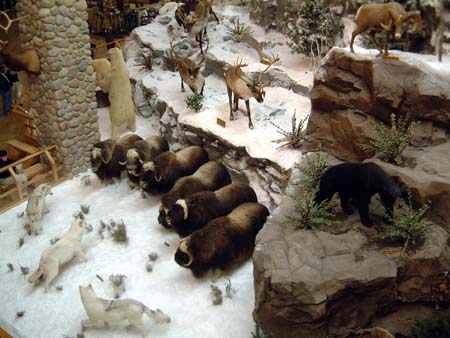 Cabela's - Dundee, MI - Musk Ox and Arctic Wolves